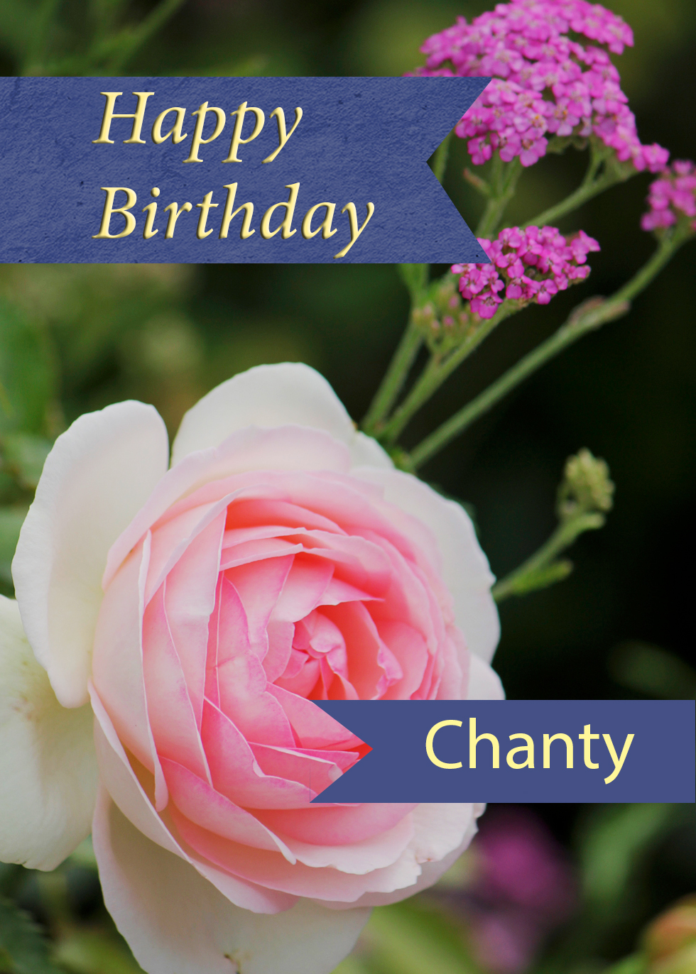 CCOM4306 - Jeremy Cordero